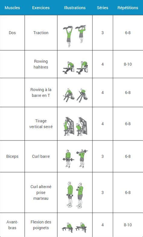 Entraînement De Force Musculation Exemple Tvhg