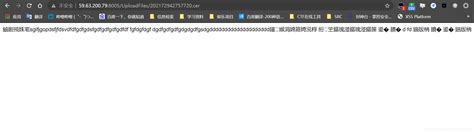 一句话木马：初识木马练习cer跟asp Csdn博客