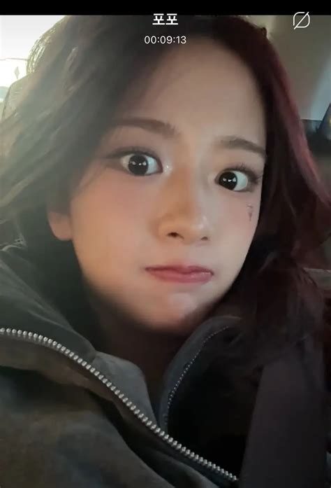 오쬬쬬 강아지🥰 유지니 팬플러스 커뮤니티