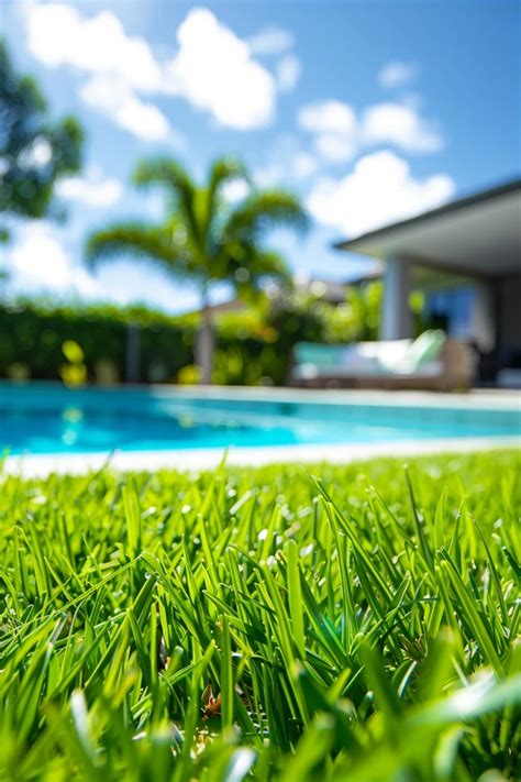 Grass Around Pool Ideas Lush Oasis Landscaping