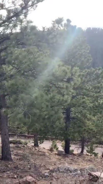 Cellphone Nokia Viralvideo Smartphone Shorts Short Fyp Trending Youtube