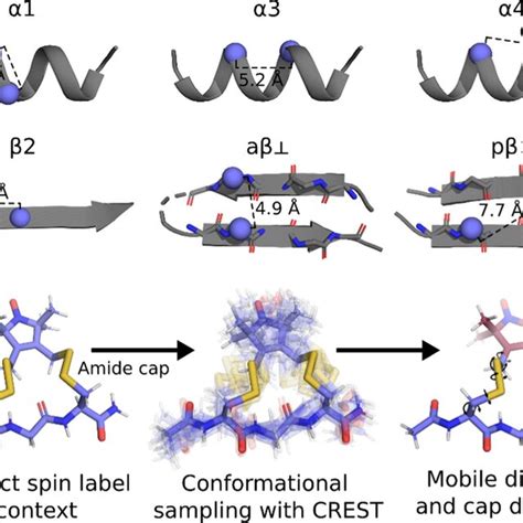 Bifunctional Labeling Contexts And Rotamer Library Generation A