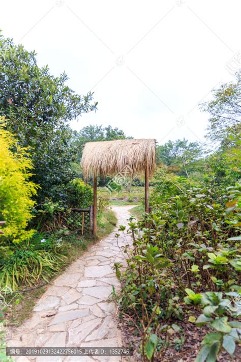 茅草棚 国内旅游景点 旅游景点 摄影 汇图网www huitu