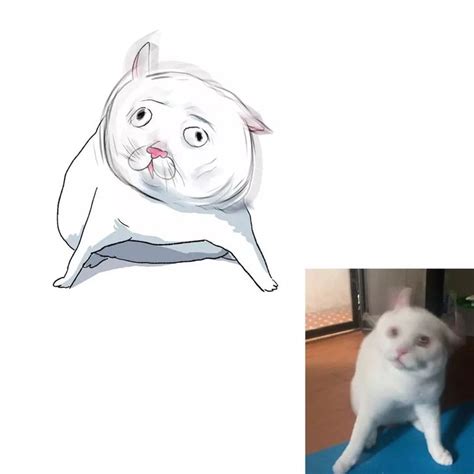 เป็นน่ารัก ภาพวาดสุดตะมุตะมิ เปลี่ยนรูปถ่ายน้องแมวเป็นการ์ตูน