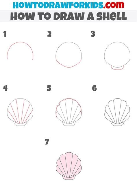 How To Draw A Conch Shell