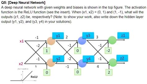 Solved Q5 Deep Neural Network A Deep Neural Network With Given