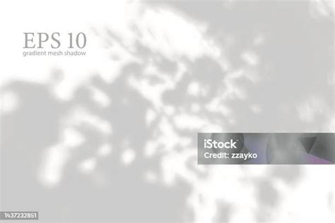 투명 한 자연 식물 그림자입니다 조명 효과 오버레이 메쉬 그리드 나뭇 가지 식물 단풍 및 나뭇잎의 그림자 프리젠 테이션 당신의 디자인 카드 포스터 사진 현실적인 벡터 잎에