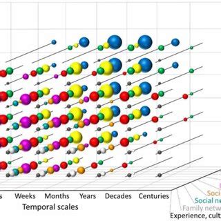 Conceptual Illustration Of The Spatialtemporal Scales And Effects Of