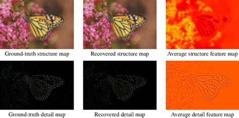 Figure 1 From Bridging Component Learning With Degradation Modelling For Blind Image Super