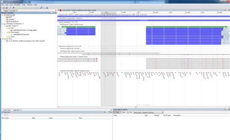 What Are Bam Files For