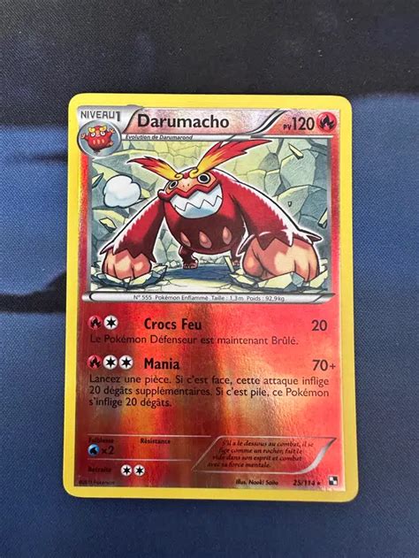 Voggt Buy Darumacho Reverse Nb