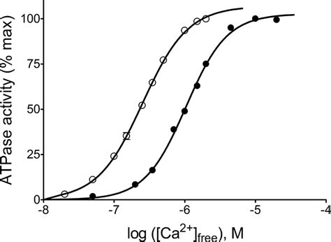 Ca 2 Dependence Of Atp Hydrolysis Activity Of Recombinant Human Download Scientific Diagram