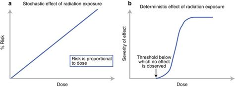 Introduction To Imaging Radiology Key