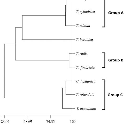 Hierarchical Cluster Analysis Complete Linkage Euclidean Distance