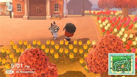 Raymond Is So Cute Ranimalcrossing