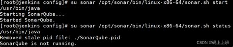Sonar下启动发生错误elasticsearch启动错误sonar Elasticsearch Csdn博客