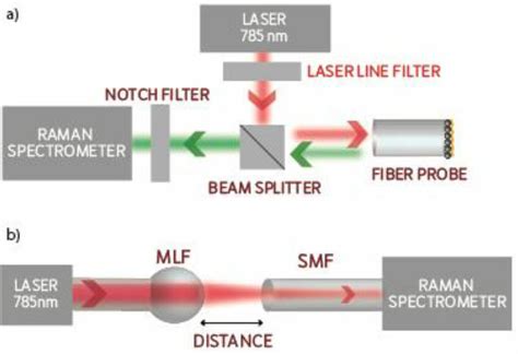 Schematic Diagram Of The Experimental Setups A Sers In A Reflection Download Scientific