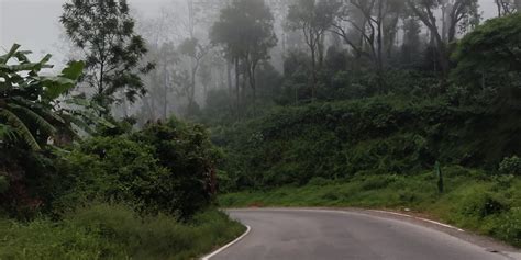 Coorg By Manomay Jamble Manomays Substack