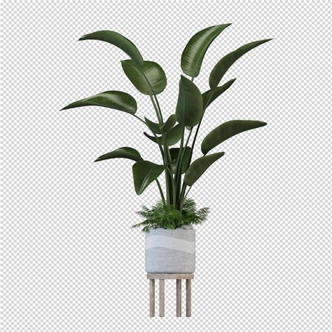 Premium Psd 3d Rendering Nature Object Tree Isolated