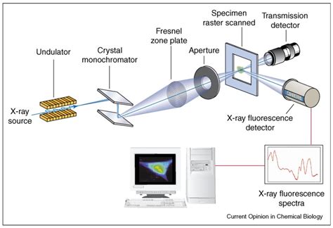 X Ray Fluorescence Creative Biostructure