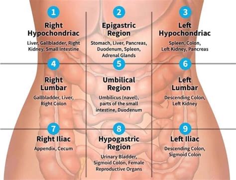 How To Do Self Abdominal Massage For Bloating And Constipation