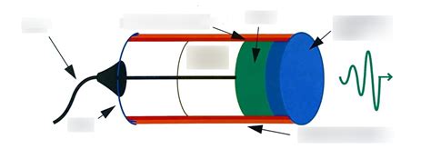 Seven Components Of A Basic Ultrasound Transducer Diagram Quizlet