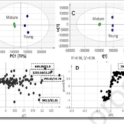Principal Component Analysis Pca And Orthogonal Projection To Latent
