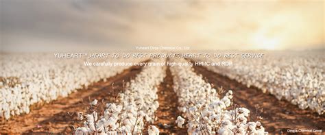 十二烷基醚硫酸钠 Sles