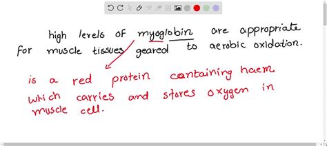 SOLVED Explain Why High Levels Of Myoglobin Are Appropriate For Muscle Tissue Geared To Aerobic