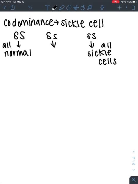 Solvedcodominance Is An Inheritance Pattern In Which The Heterozygous