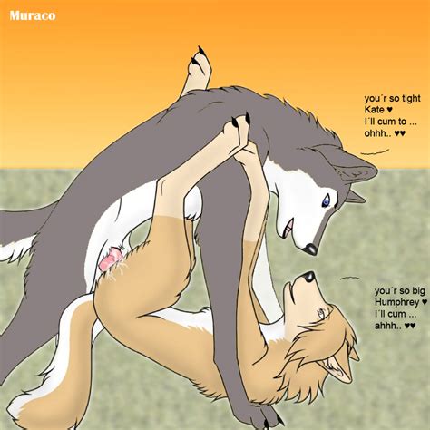 Alpha And Omega Wolf Sex Sex Pictures Pass