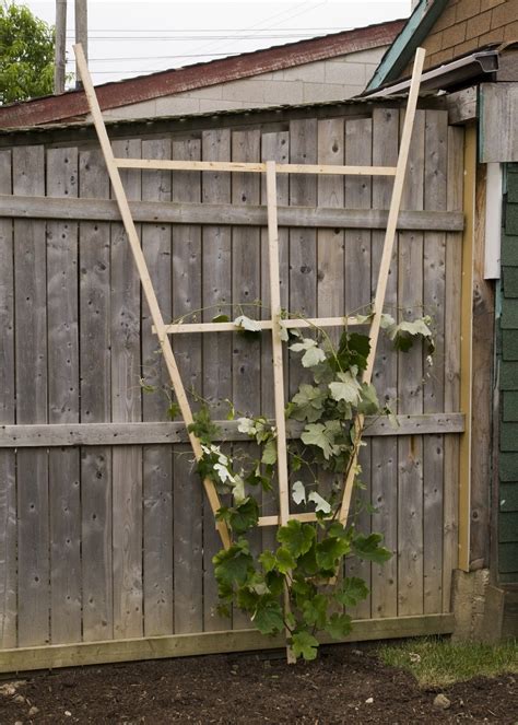 One Canadian Home How To Build A Wooden Trellis