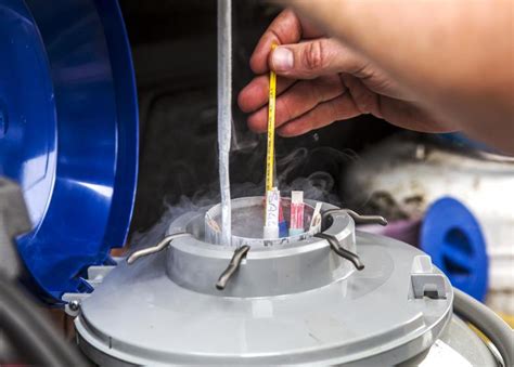 Dairy Management Sexed Semen Success Is Down To The Technician Premium