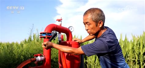 良种攻关良法种田 助力秋粮丰产丰收 荆楚网 湖北日报网