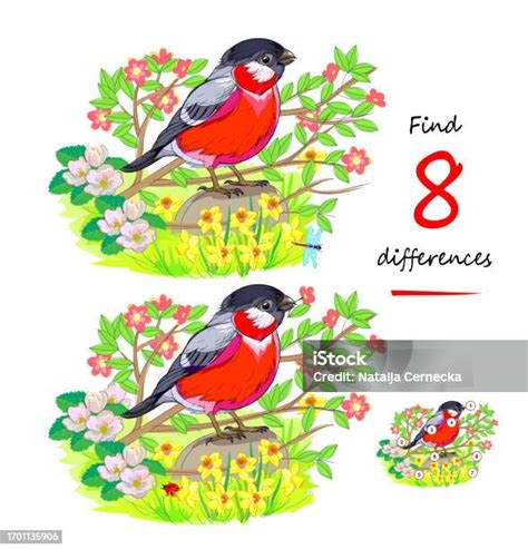 8 가지 차이점을 찾으십시오 봄 정원에 있는 귀여운 불핀치의 삽화 어린이와 성인을 위한 논리 퍼즐 게임 아이들 수수께끼 책을위한