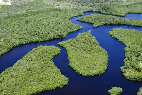 Optimizing Management Of Invasions In An Uncertain World Using Dynamic Spatial Models