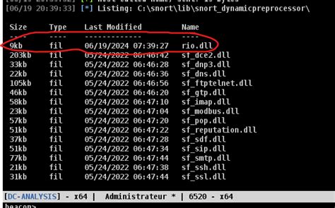Abusing Snort Configuration Cyber Security Architect Redblue Teaming Exploitmalware Analysis
