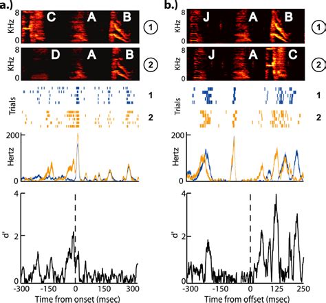 Quantifying Sequence Dependent Differences In Neural Activity Download Scientific Diagram