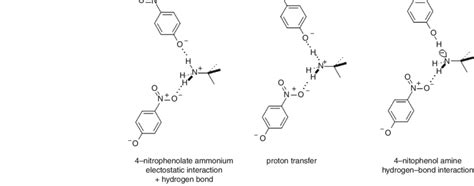 Scheme 3 Proton Transfer Pathway Of Ammonium Salt To 4 Nitrophenolate