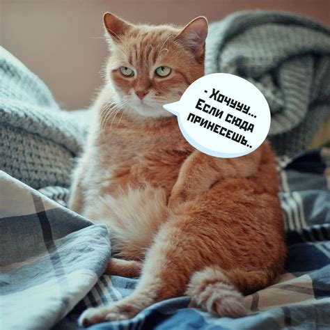 Женские Заметки 🙏 Ему 85 лет и он всегда держит свою жену за руку куда бы они ни пошли