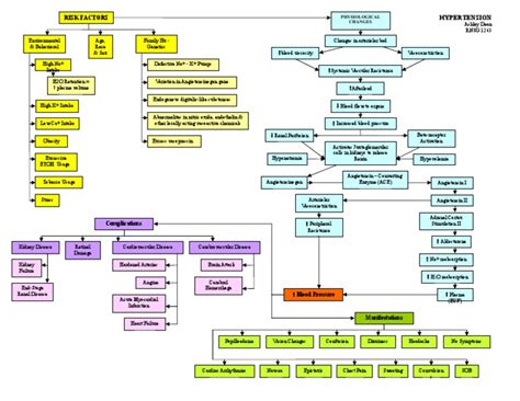 Hypertension Concept Map Pdf Angiotensin Hypertension