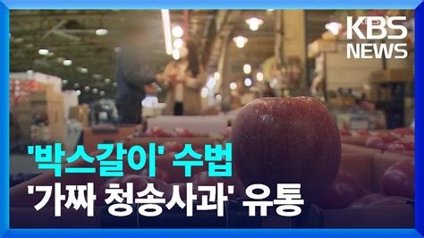 가짜 청송사과 350톤 17억 유통‘박스갈이 수법도 Kbs 20220414 Youtube