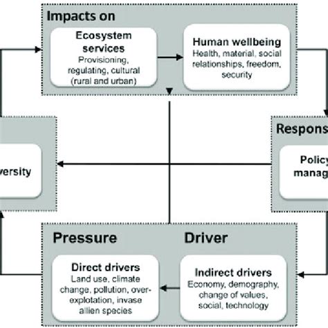 4 Example Of Dpsir With Reference To Impact On Ecosystem Services Download Scientific Diagram