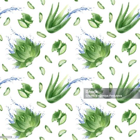 알로에 베라 식물 조각 펄프 알로에 잎 및 물이 튀어 나옵니다 흰색 배경에 수채화 원활한 패턴입니다 화장품 포장 스크랩북 포장지 건강관리와 의술에 대한 스톡 벡터 아트 및
