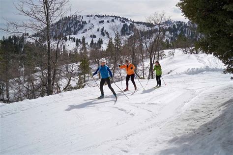 Rim Nordic Cross Country Ski And Snow Shoe Area I Love Lake Arrowhead