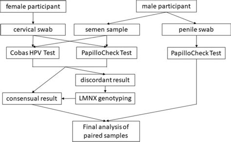 Methods Used For HPV Detection In Different Sample Types Download Scientific Diagram