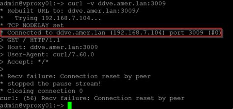 networker vmware protection vproxy file level restore is not