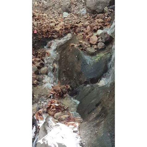 مع ضیوف العمانی الاعزاء Youtube