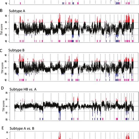 Dna Copy Number Profiling In Hcc Subtypes Genome Wide Tm For Hcc Download Scientific Diagram