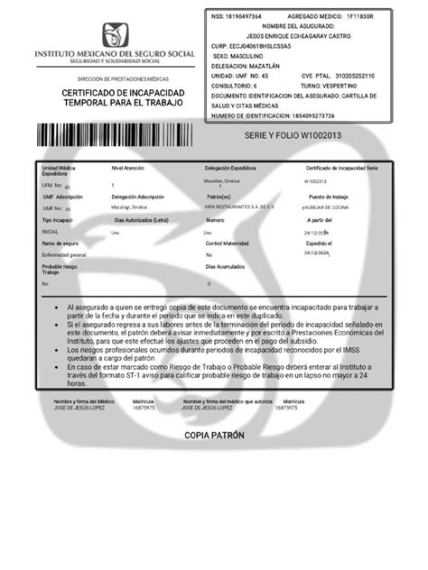 Incapacidad Imms 2 Pdf